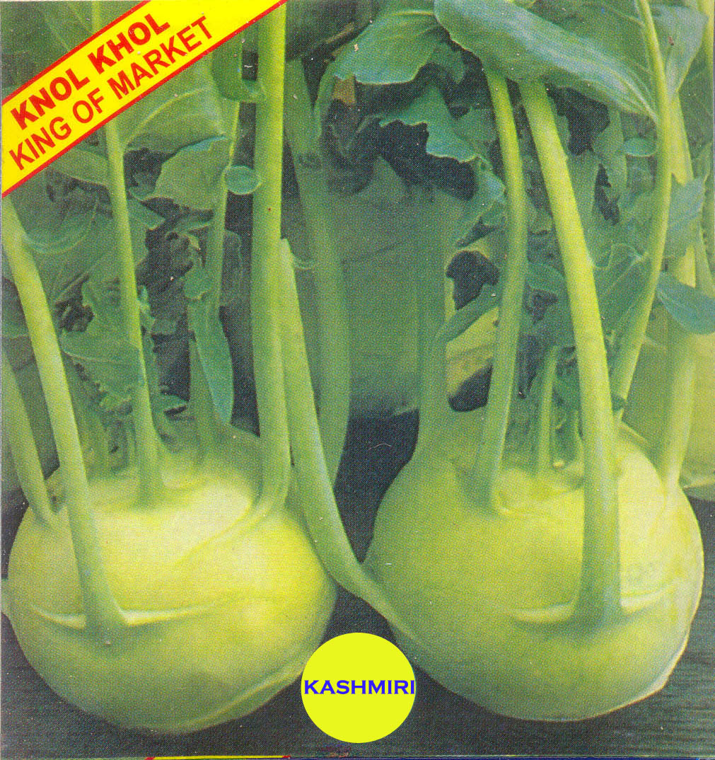 Seeds - Vegetable | Fruits | Flowers seeds.